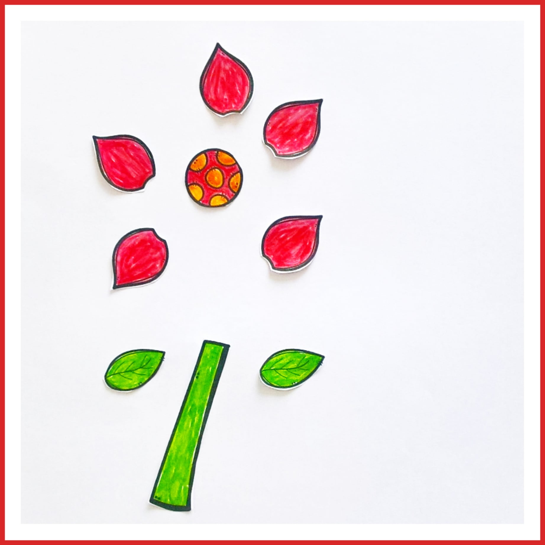 Count The Petals - Butterflo Kids