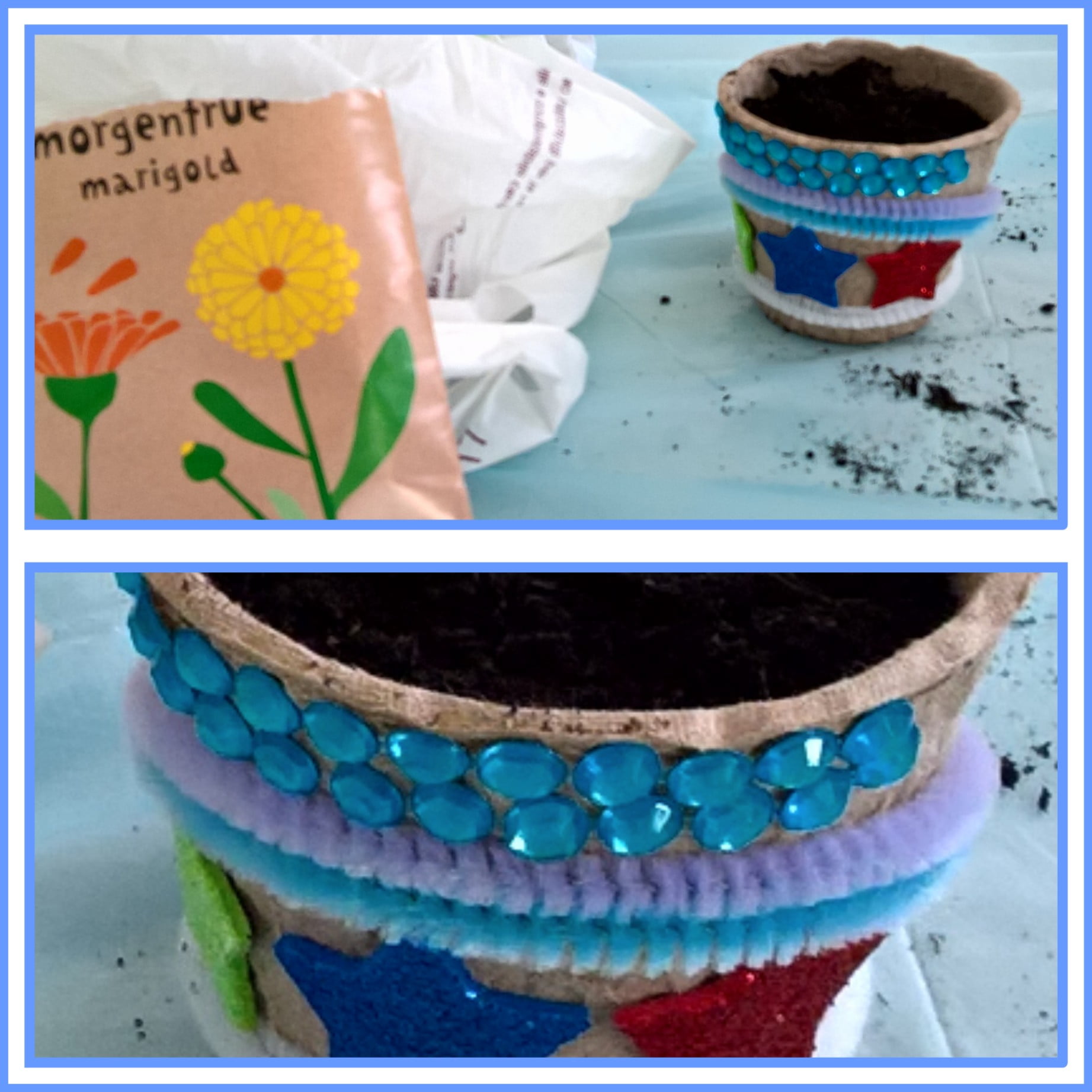 The Lorax Project - Part 2 - Butterflo Kids