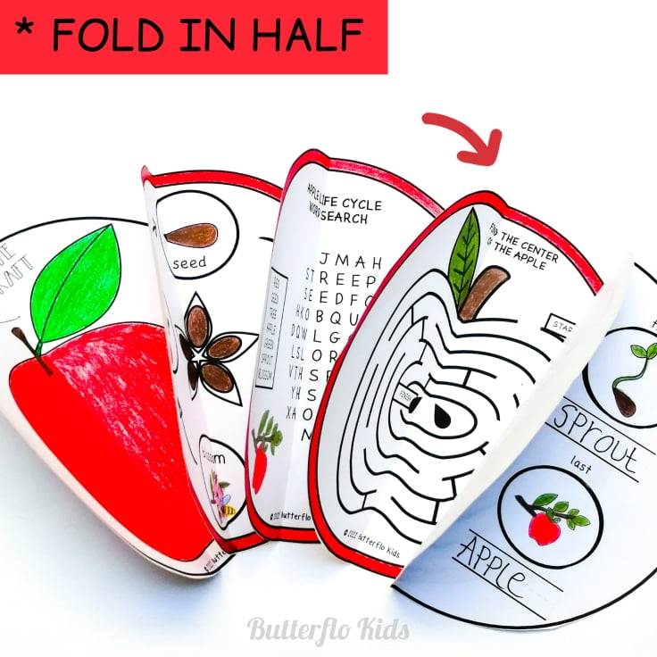 Apple Life Cycle Craft - Butterflo Kids