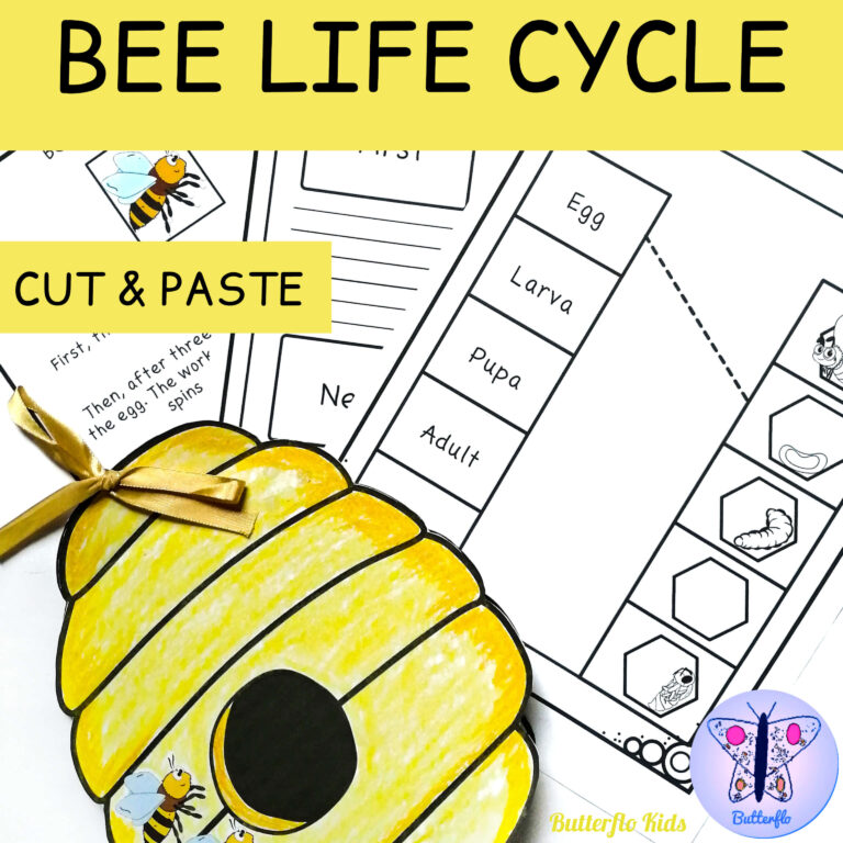 Bee Life Cycle Craft - Butterflo Kids