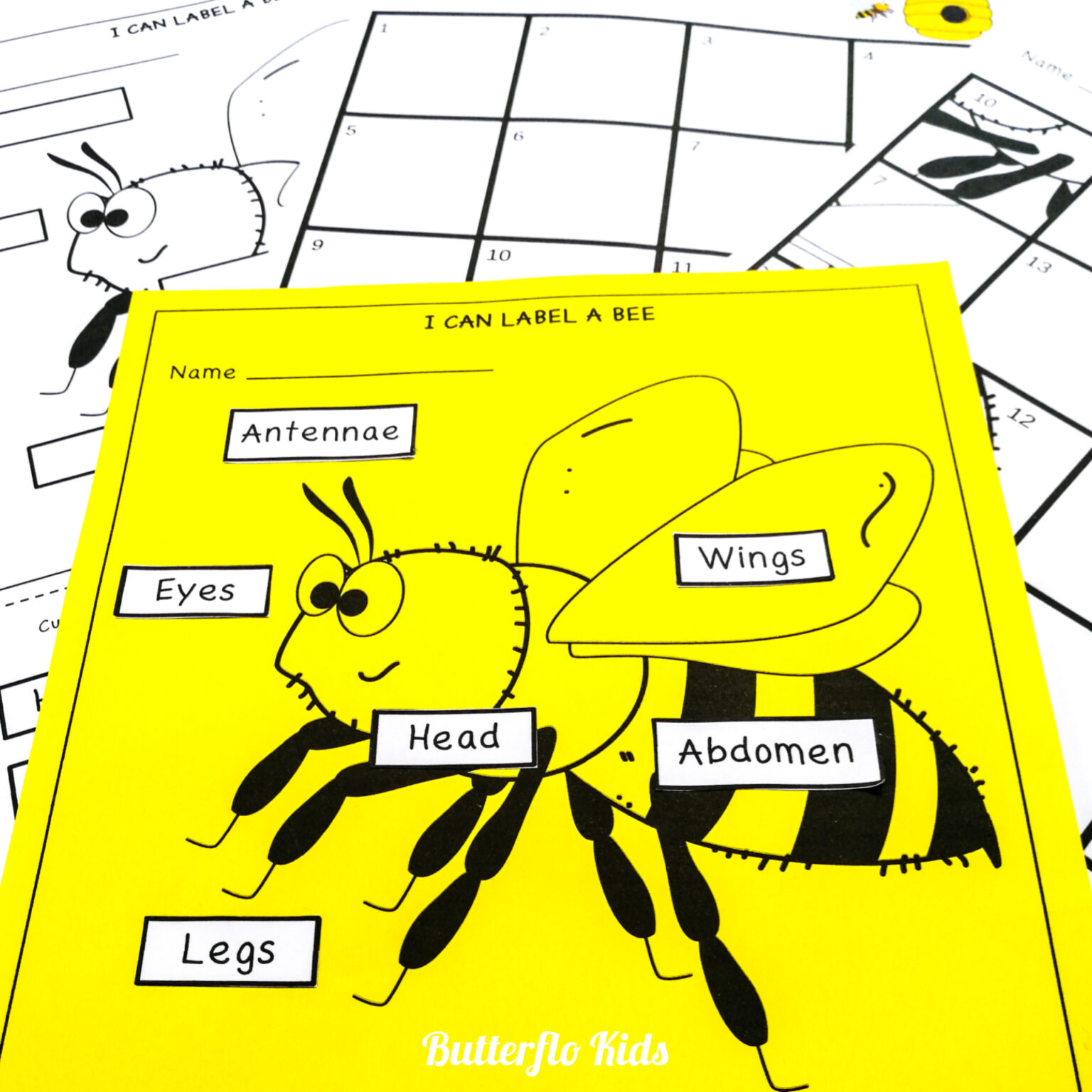 Parts of a Bee Labelling Craft - Butterflo Kids