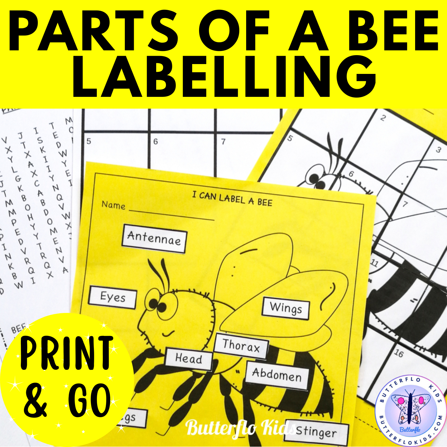 Bee Life Cycle Craft - Butterflo Kids